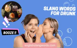 10+ Slang words for Drunk [With Sentence] - English Slang Words