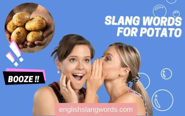 15 Slang Words for Potato [Meaning + Example] - English Slang Words